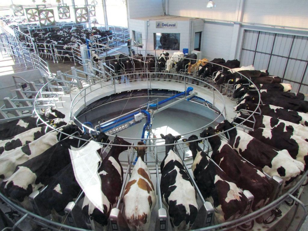 La industria láctea, en tiempos de pandemia | AgendAR