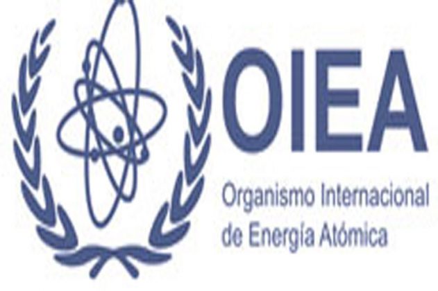 ¿un Argentino A Cargo Del Organismo Internacional De Energía Atómica