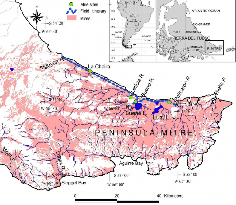 Las turberas de Tierra del Fuego, un patrimonio argentino clave frente ...